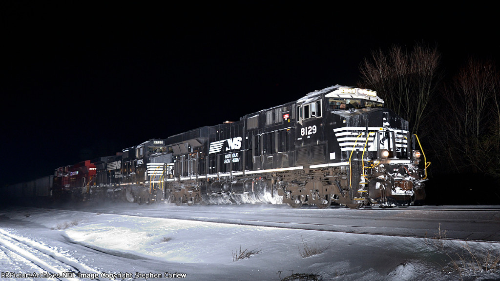 NS 8129